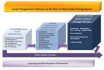 Ward Sister/Charge Nurse – Career Pathway | Nursing and Midwifery ...